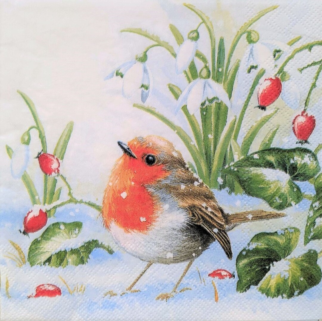 3 Decoupage Paper Napkins | Little Robin | Crafting Tissue | - Etsy