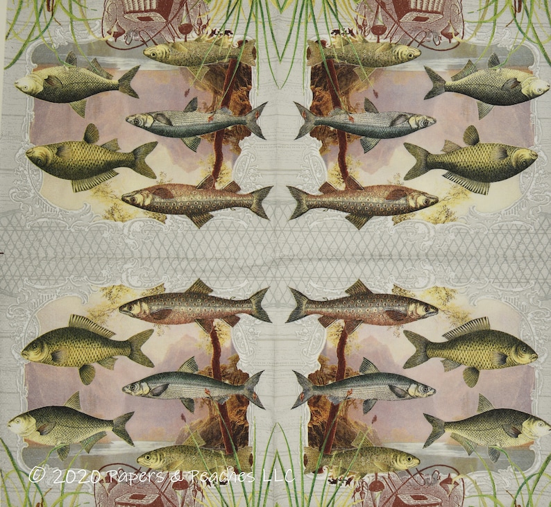 3 Decoupage Paper Napkins Vintage Fish Crafting Tissue - Etsy