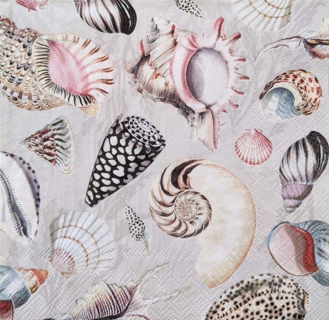Decoupage Napkins | Shore Shells | Paper Napkins | Crafting Tissue | - Etsy