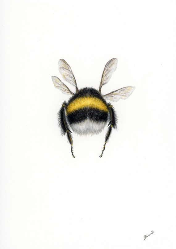 Bumble Bee Flying