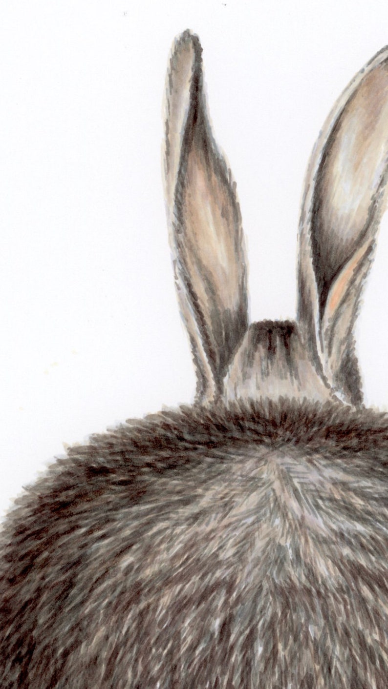 Bunny Tail PRINT, Nursery Clipart Bunny, Rabbit Wall Decor, Bunny Butt ...