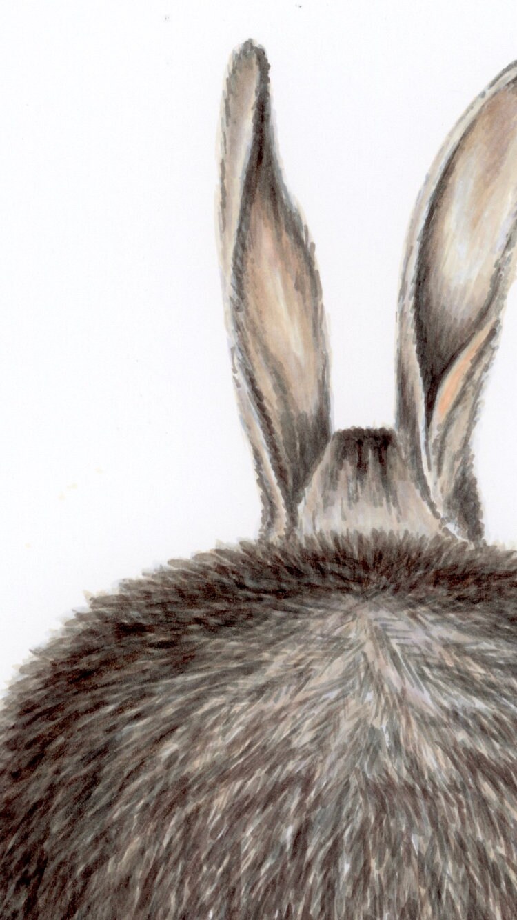 Bunny Tail PRINT, Nursery Clipart Bunny, Rabbit Wall Decor, Bunny Butt ...