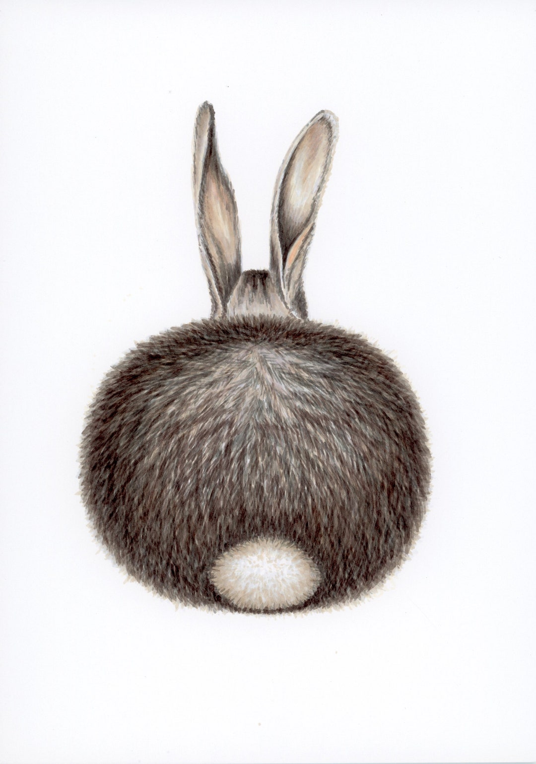 Bunny Tail PRINT, Nursery Clipart Bunny, Rabbit Wall Decor, Bunny Butt ...