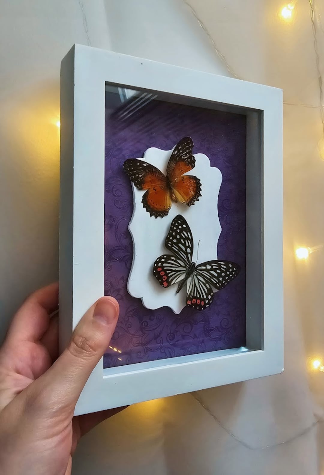 Real Butterflies Framed - Etsy