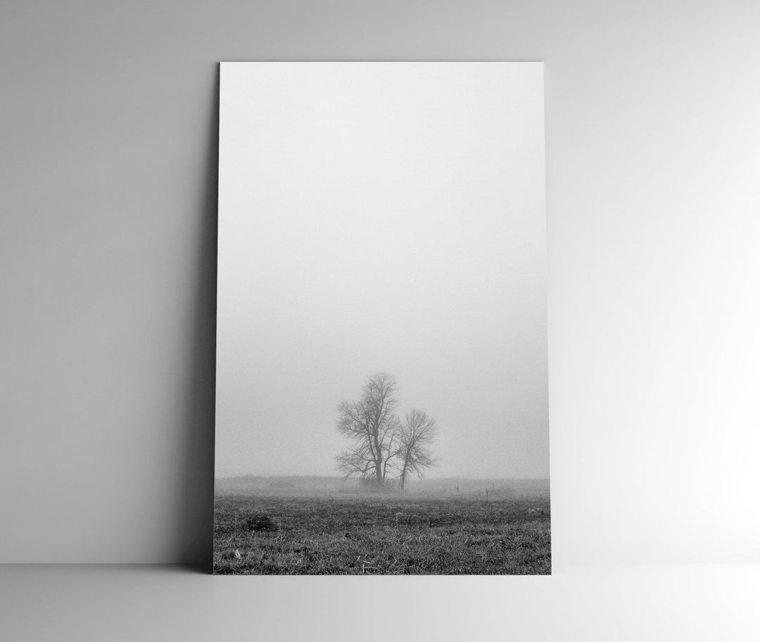 Landscape Photography - Goodbye Tree - 11x17 Giclee - Black & White ...