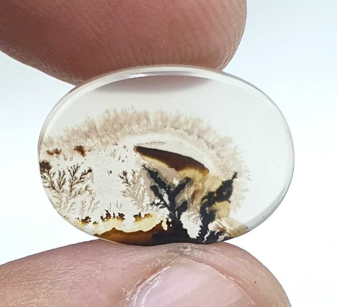 Amazing Designer Dendritic Agate !!! NATURAL Dendritic Agate Cabochon ...
