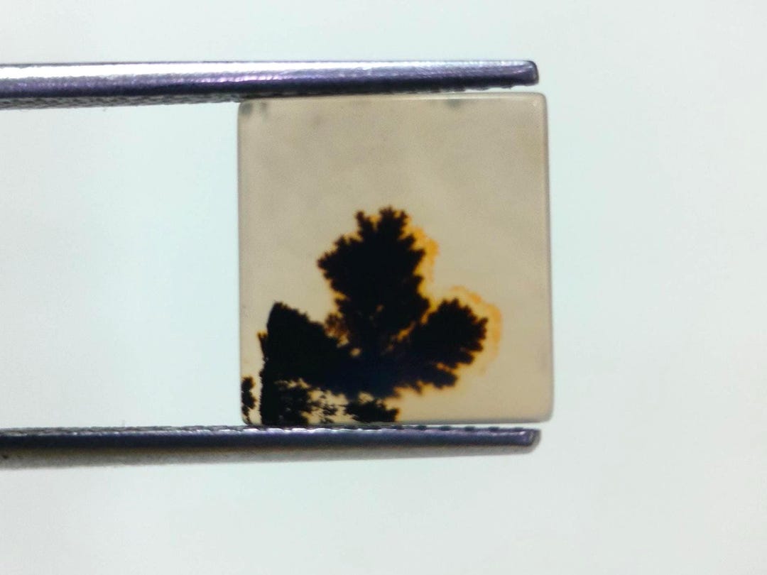 Designer Stone !!! Dendritic Agate Fancy Cabochon, Loose Gemstone ...