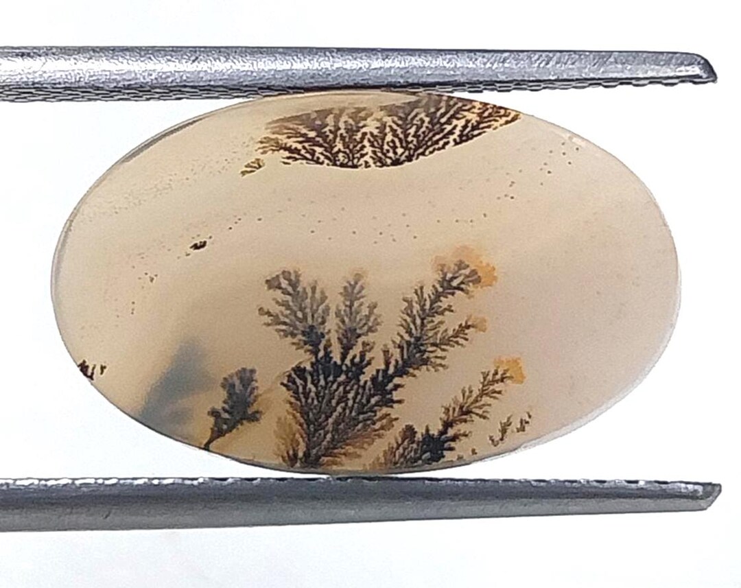 Designer Stone !!! Dendritic Agate Fancy Cabochon, Loose Gemstone ...