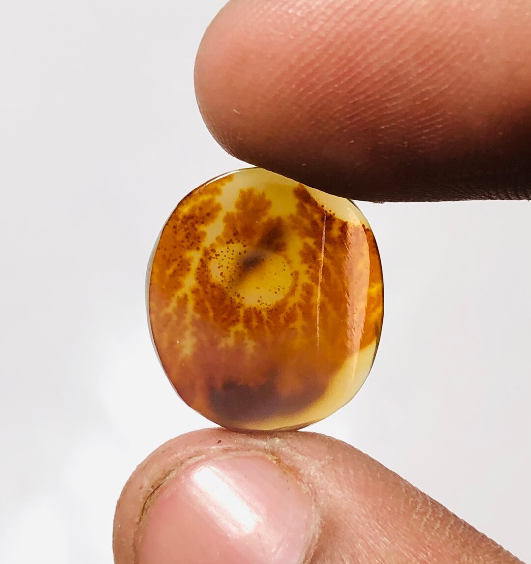 Amazing Designer Dendritic Agate NATURAL Dendritic Agate Cabochon ...