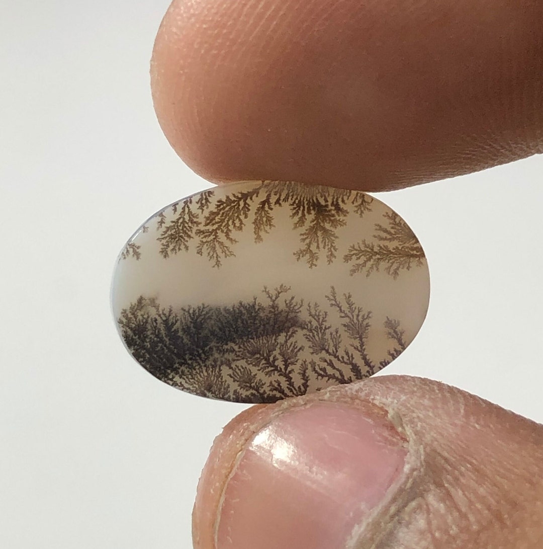 Amazing Designer Dendritic Agate NATURAL Dendritic Agate Cabochon ...