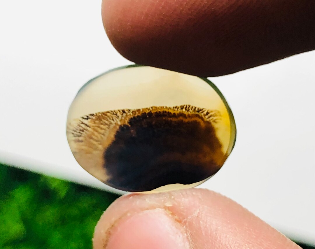 Amazing Designer Dendritic Agate !!! NATURAL Dendritic Agate Cabochon ...