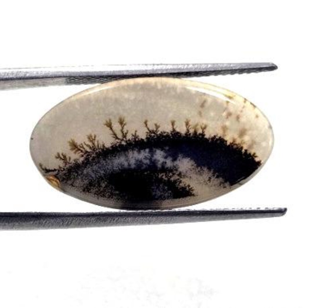 Designer Stone !!! Dendritic Agate Fancy Cabochon, Loose Gemstone ...