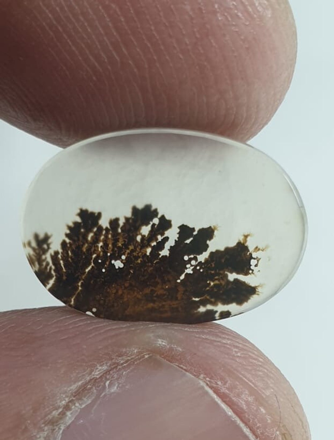 Amazing Designer Dendritic Agate !!! NATURAL Dendritic Agate Cabochon ...