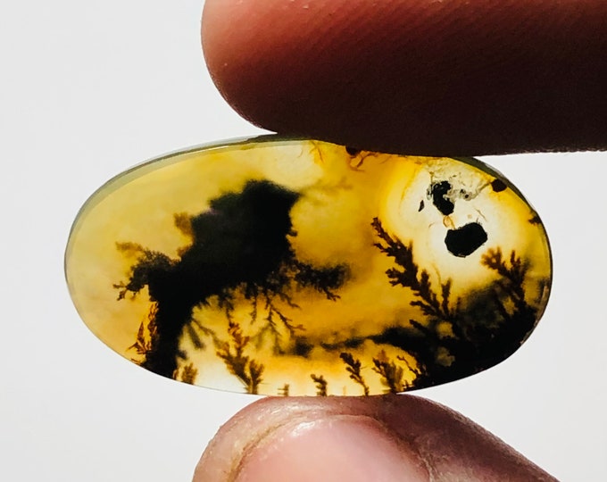 Amazing Designer Dendritic Agate !!! NATURAL Dendritic Agate Cabochon ...