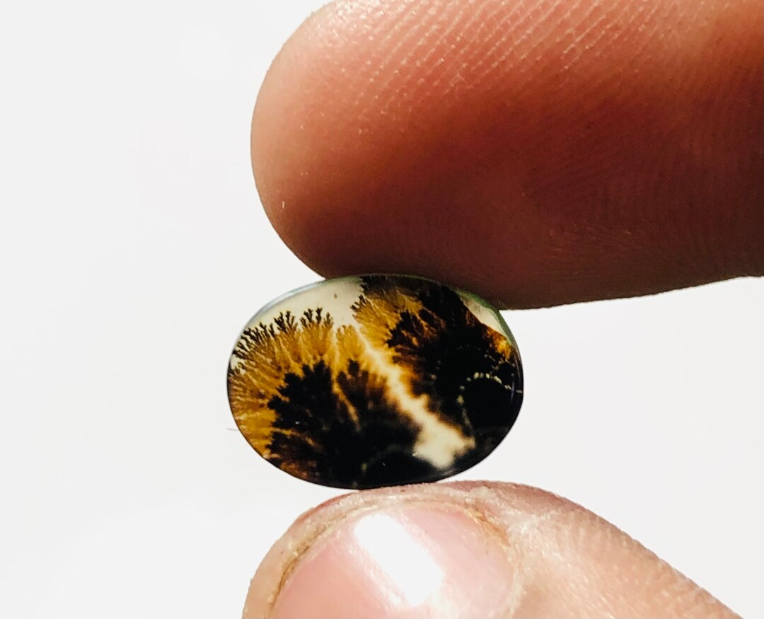 Amazing Designer Dendritic Agate NATURAL Dendritic Agate Cabochon ...
