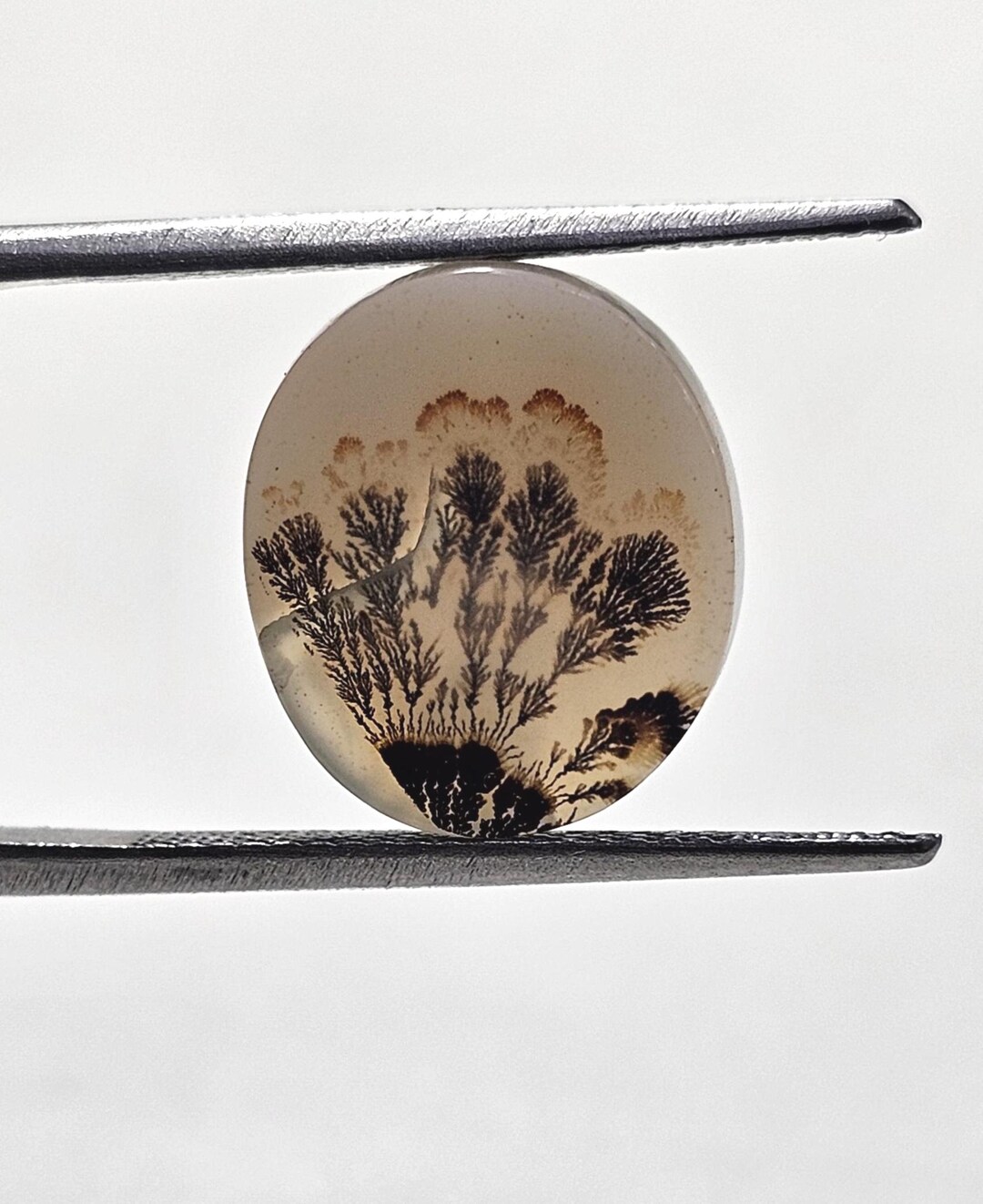 Designer Stone !!! Dendritic Agate Fancy Cabochon, Loose Gemstone ...