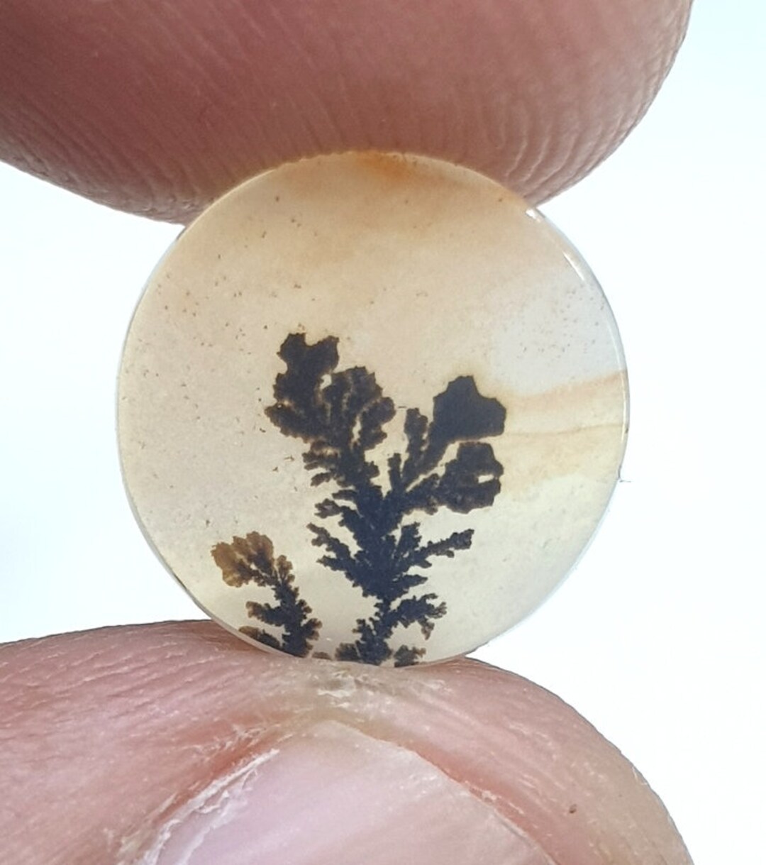 Amazing Designer Dendritic Agate !!! NATURAL Dendritic Agate Cabochon ...