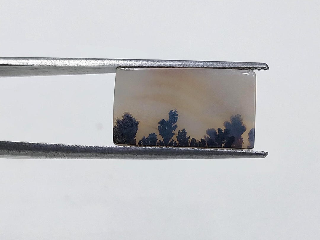 Designer Stone !!! Dendritic Agate Fancy Cabochon, Loose Gemstone ...
