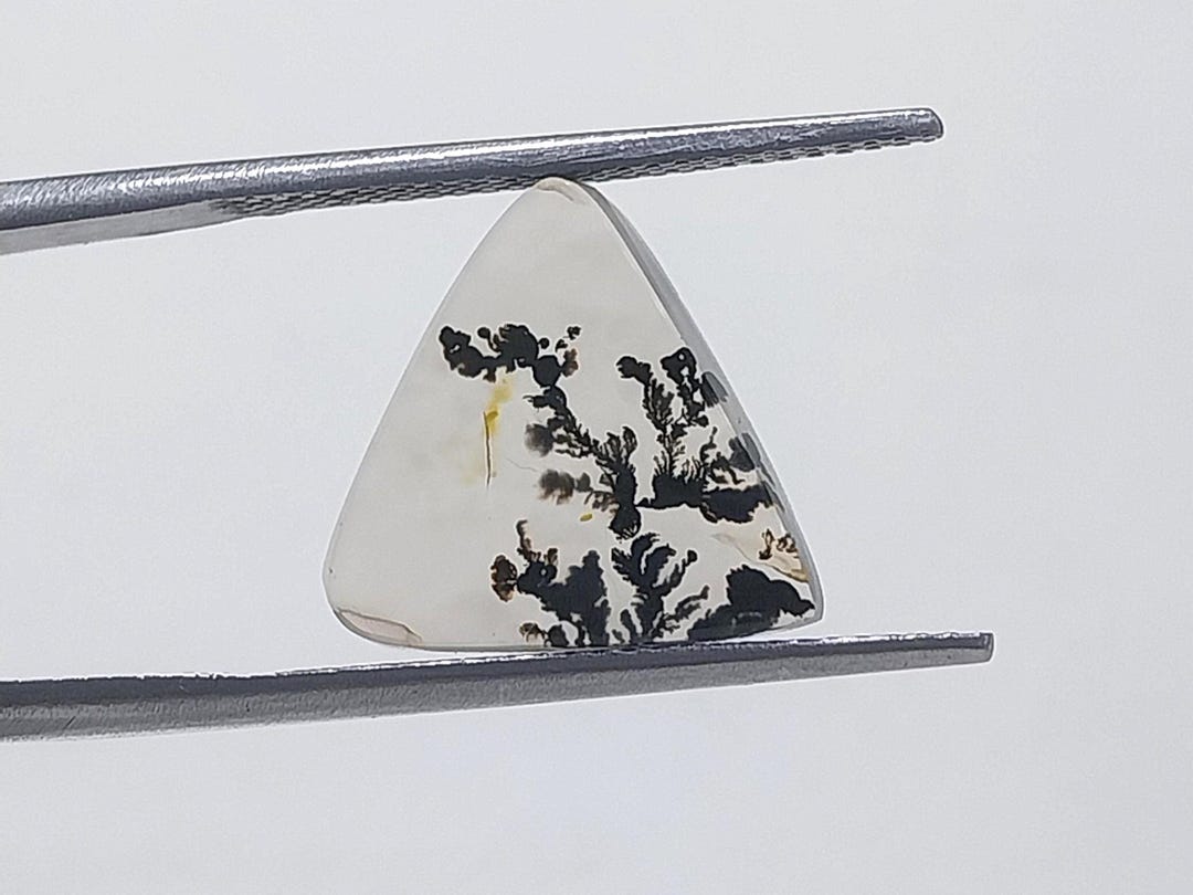 Designer Stone !!! Dendritic Agate Fancy Cabochon, Loose Gemstone ...