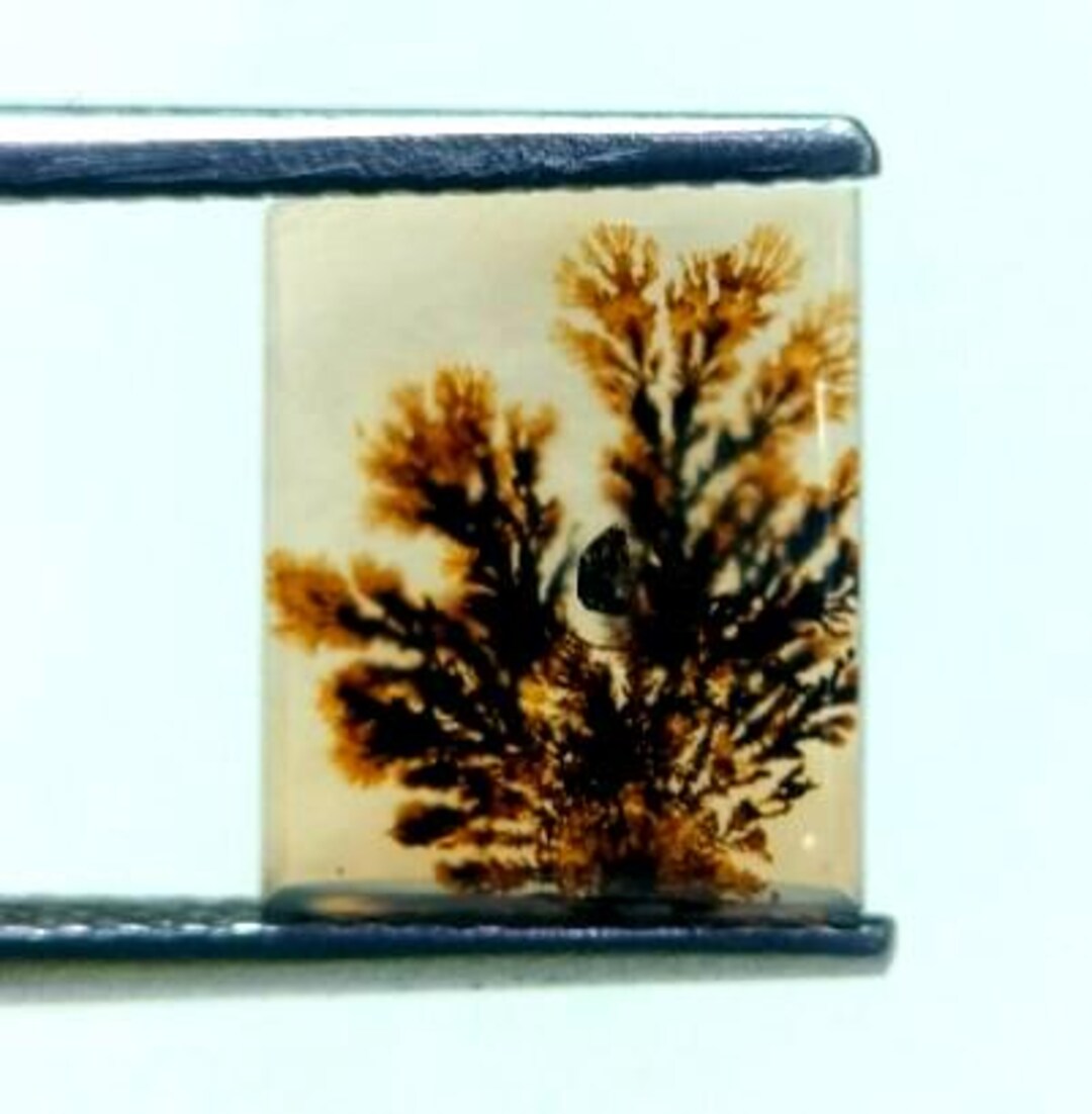 Designer Stone !!! Dendritic Agate Fancy Cabochon, Loose Gemstone ...