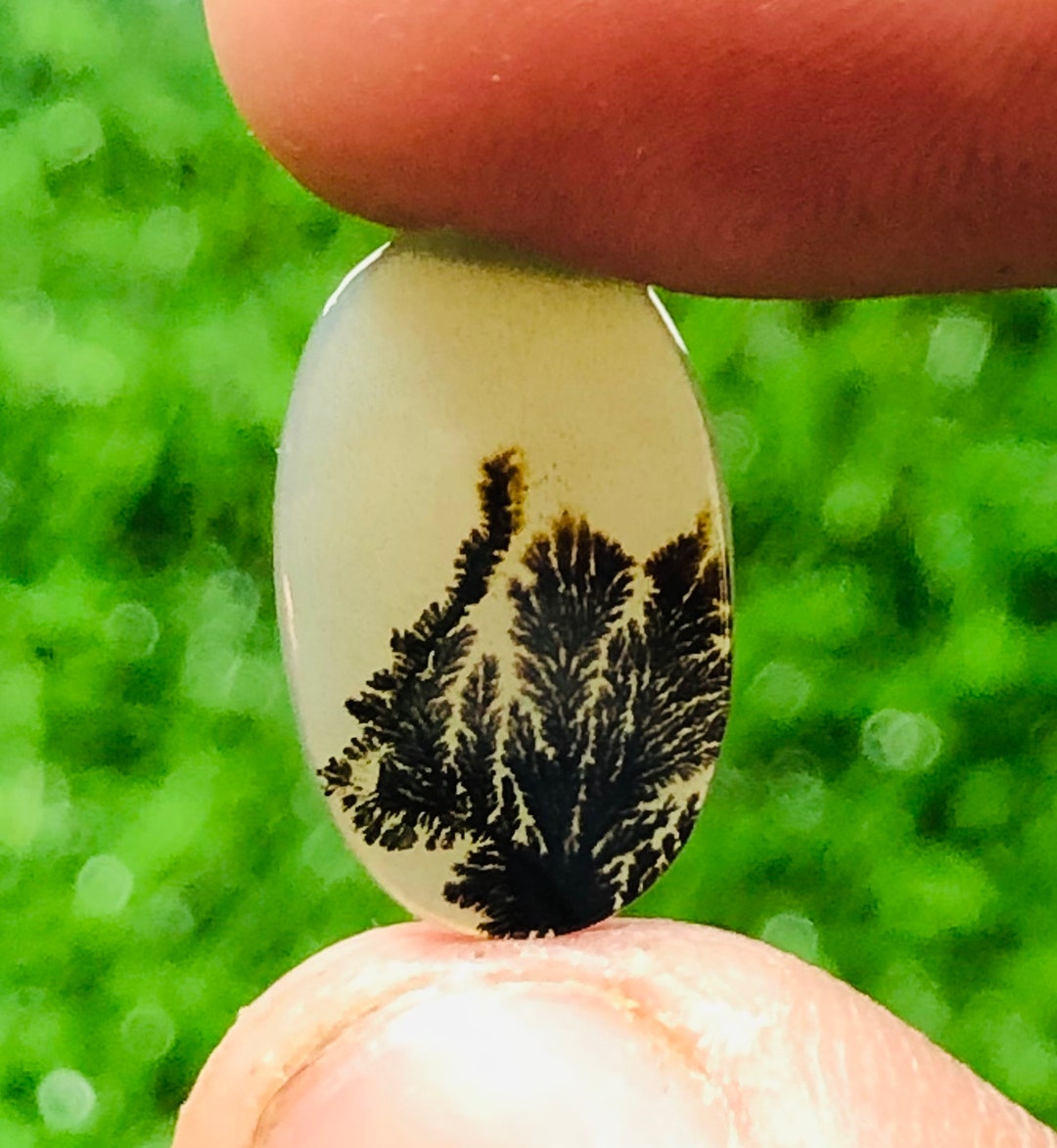 Amazing Designer Dendritic Agate !!! NATURAL Dendritic Agate Cabochon ...