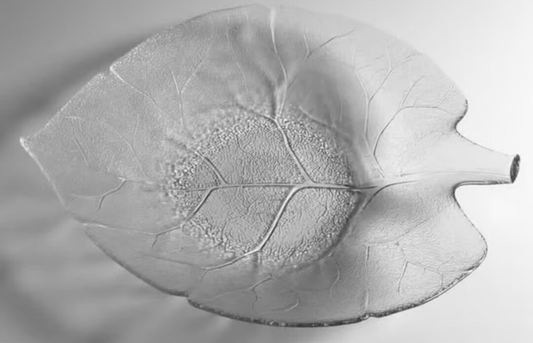 Arcoroc Aspen Leaf Bowl, 15 Inch Glass Centerpiece - Etsy