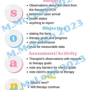 SLT SOAP Notes Reference Sheet - Etsy