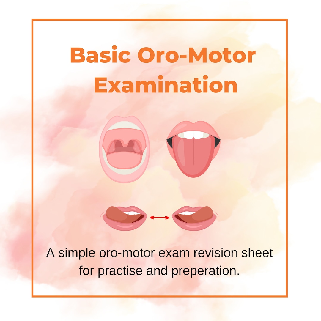 SLT/SLP Basic Oro-motor Exam Revision - Etsy