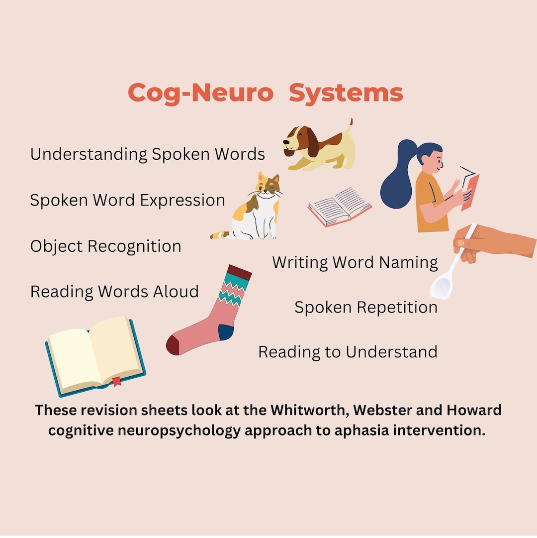 SLT/SLP Cognitive Neuropsychology Reference Sheets cog-neuro - Etsy