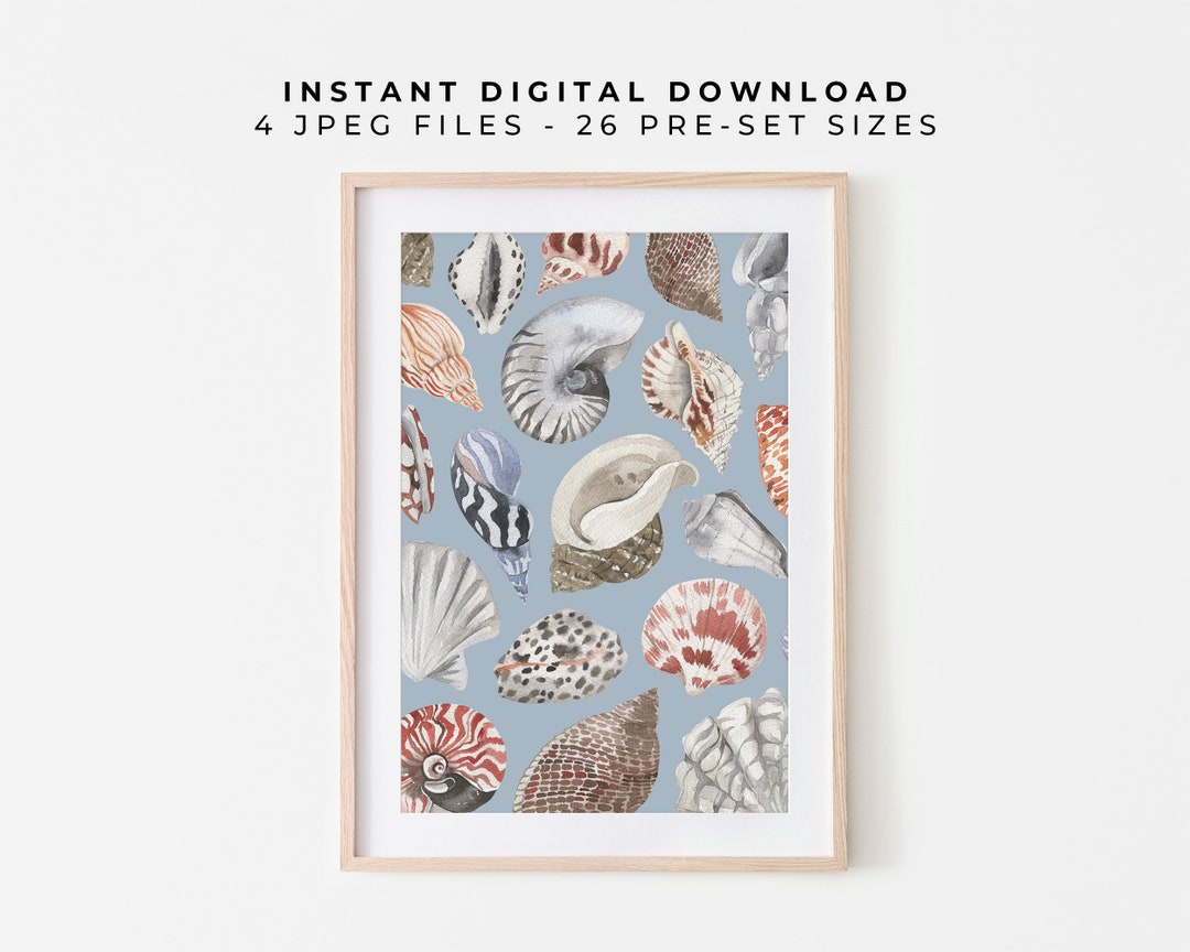 Beachcombing Fog Blue Watercolor Sea Shells Digital - Etsy