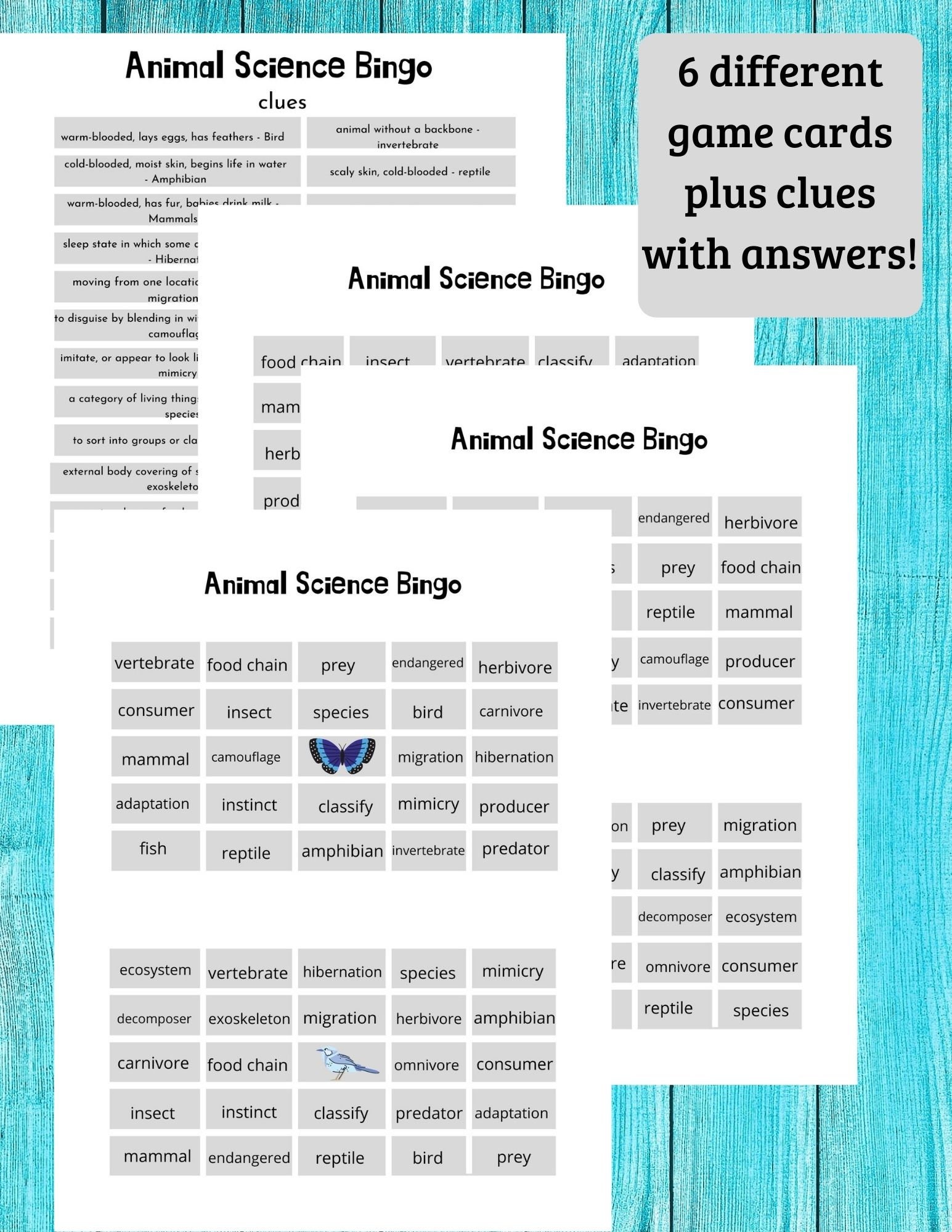 Animal Science Bingo - Bingo Game - Games for Kids - Science Games - Etsy