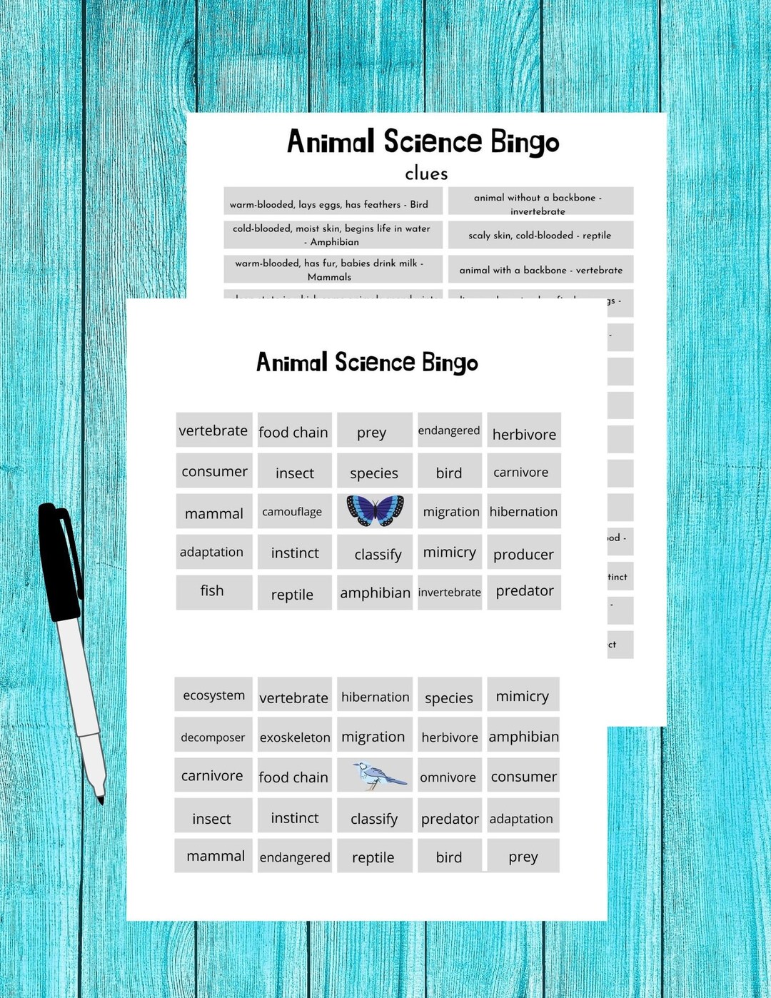 Animal Science Bingo - Bingo Game - Games for Kids - Science Games - Etsy