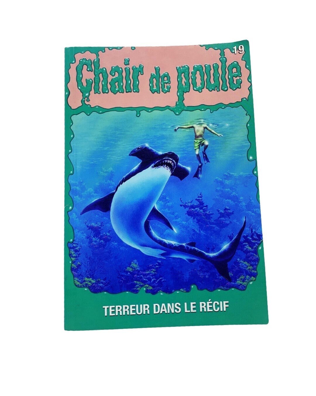 Goosebumps French Deep Trouble Paperback, 1995 - Etsy