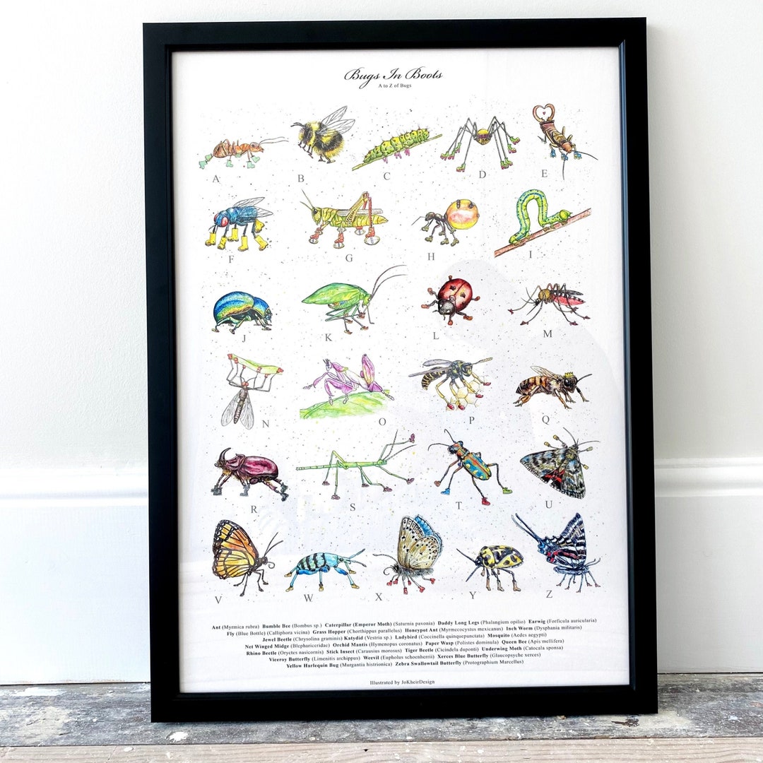 A3 Bugs in Boots Alphabet Print: A-Z Nursery Wall Art - Etsy