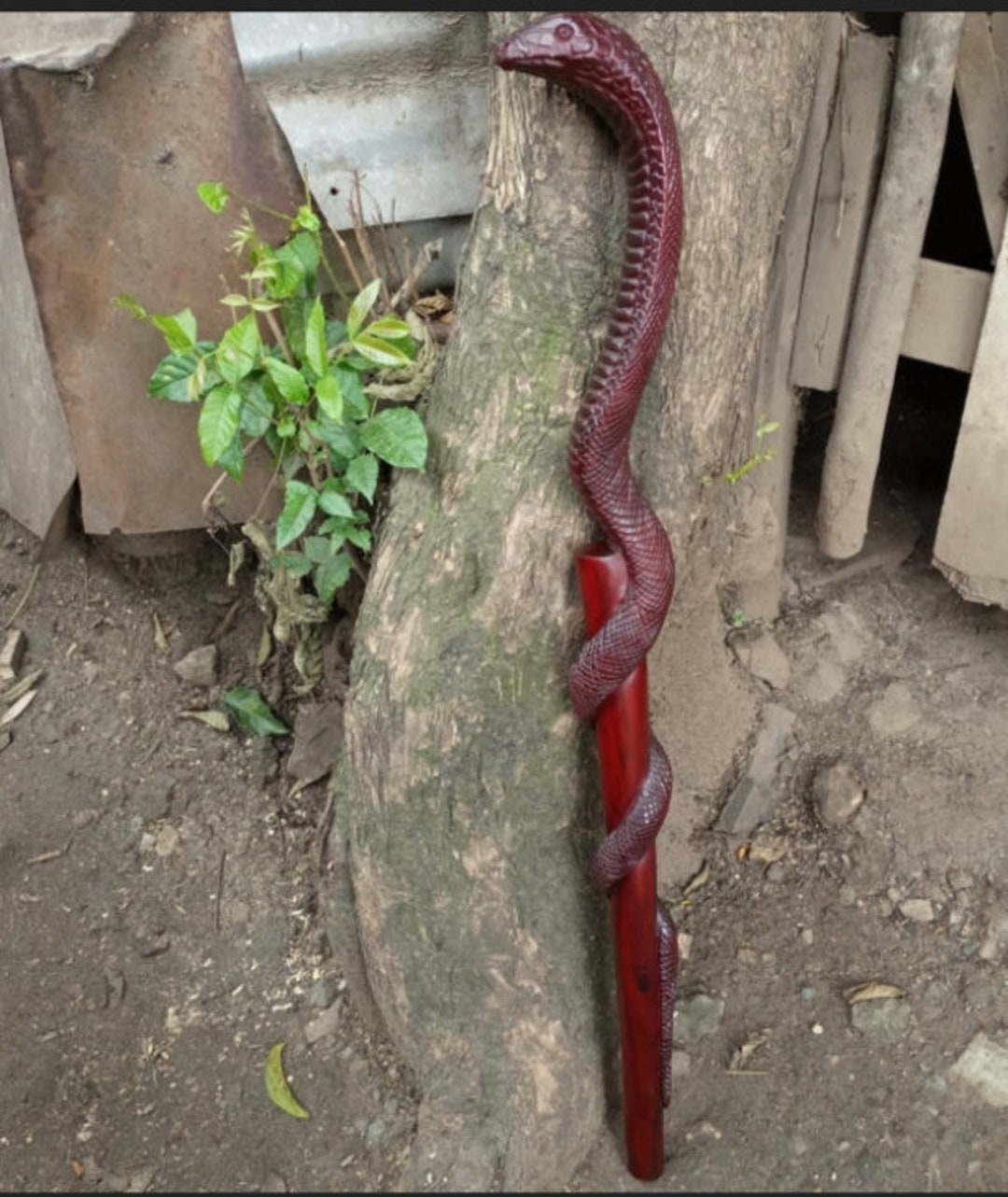 African Cobra Original Hiking Walking Stick Cane Handmade Kenya Africa ...