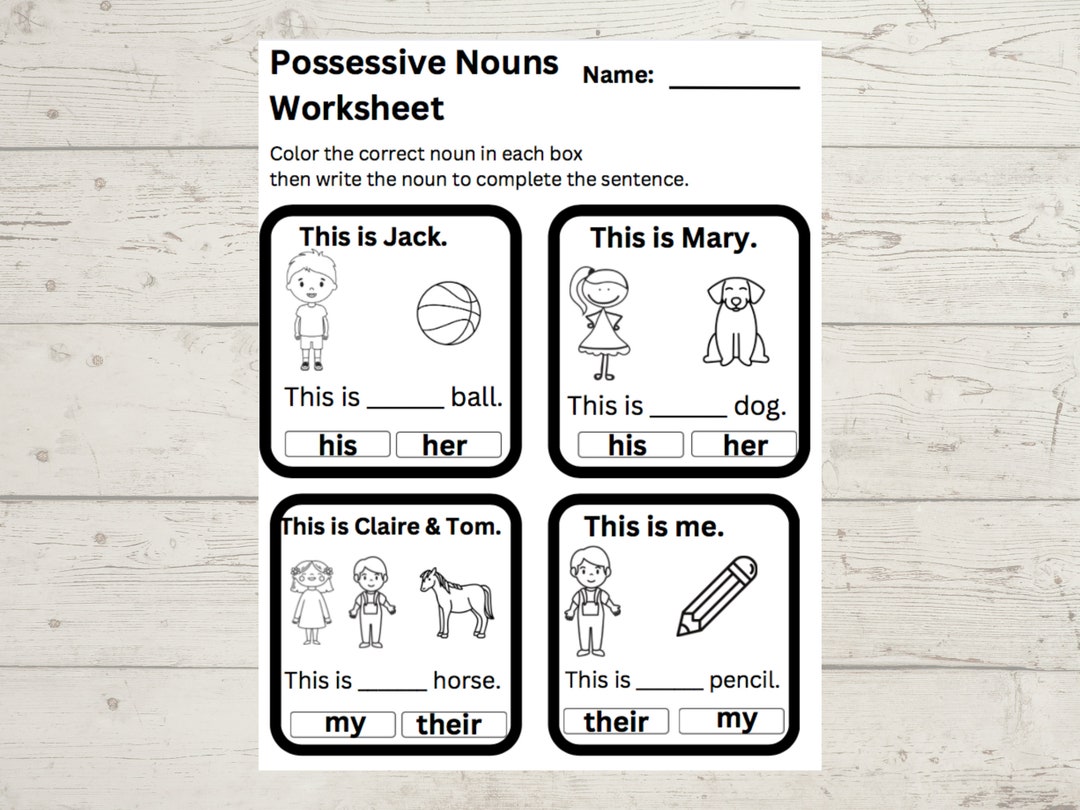 Possessive Nouns Worksheet - Etsy