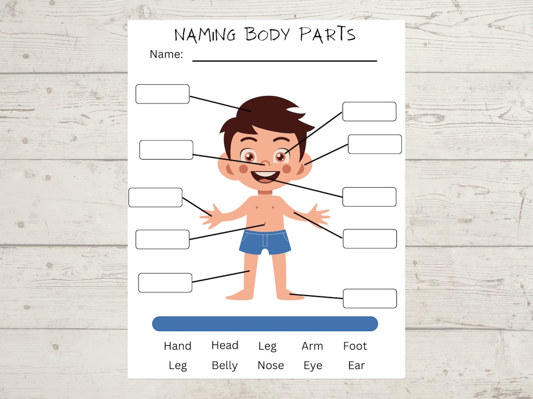 Naming Body Parts Worksheet - Etsy