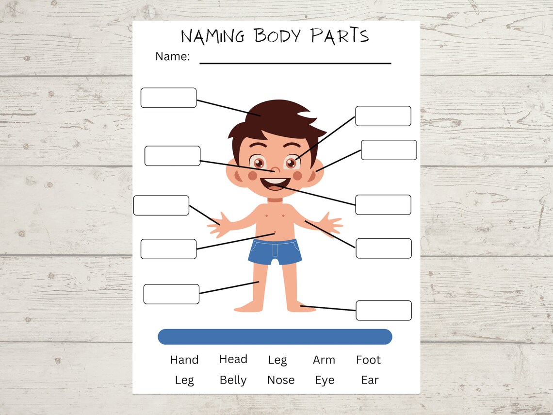 Naming Body Parts Worksheet - Etsy