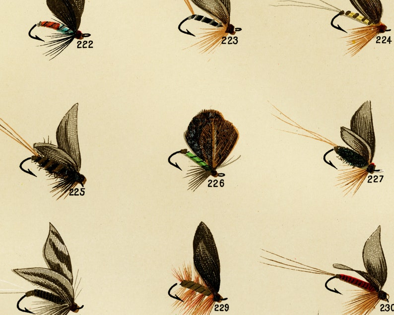 Set of 2 Vintage Fishing Flies Lures Hackles Wall Art. ‘favourite Flies ...