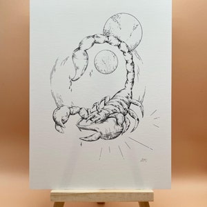Scorpio Zodiac Drawing Astrology Art Decor | Wall Art Zodiac Sign Gifts ...
