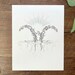 Midsommar Print Production Design Series Drawing Illustration Digital ...