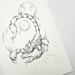 Scorpio Zodiac Drawing Astrology Art Decor | Wall Art Zodiac Sign Gifts ...