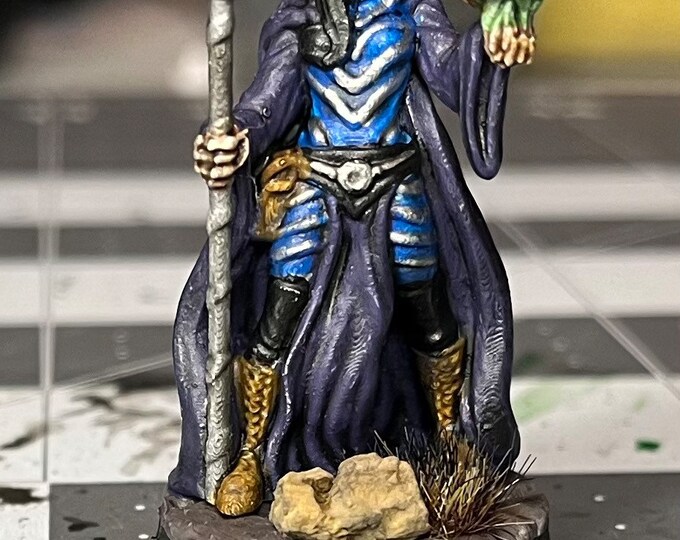 Female Necromancer Hand Painted Miniature - Etsy