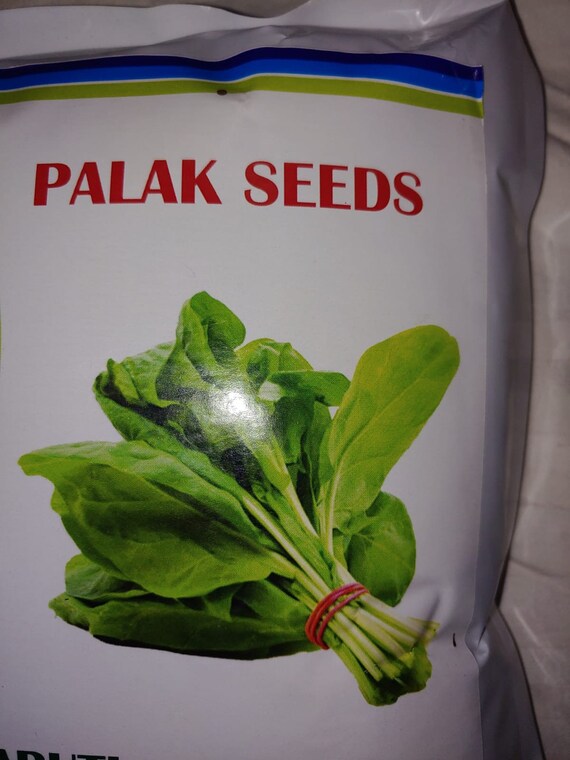 Indian Palak / Indian Spinach/ Palakura | Etsy