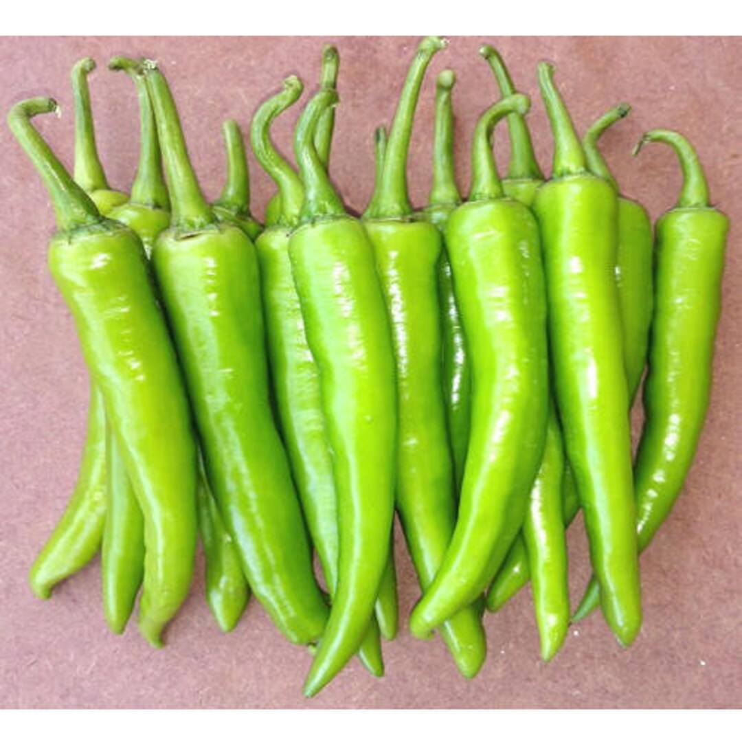 Hyderabadi Mirchi Bajji - Etsy