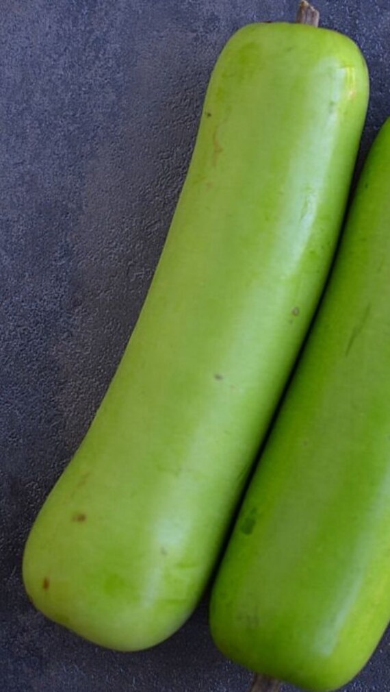 Thai Bottle Gourd - Etsy