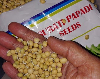 50 Chandni Surti Papdi Seeds, Indian Hyacinth Bean Edible Pods - Etsy