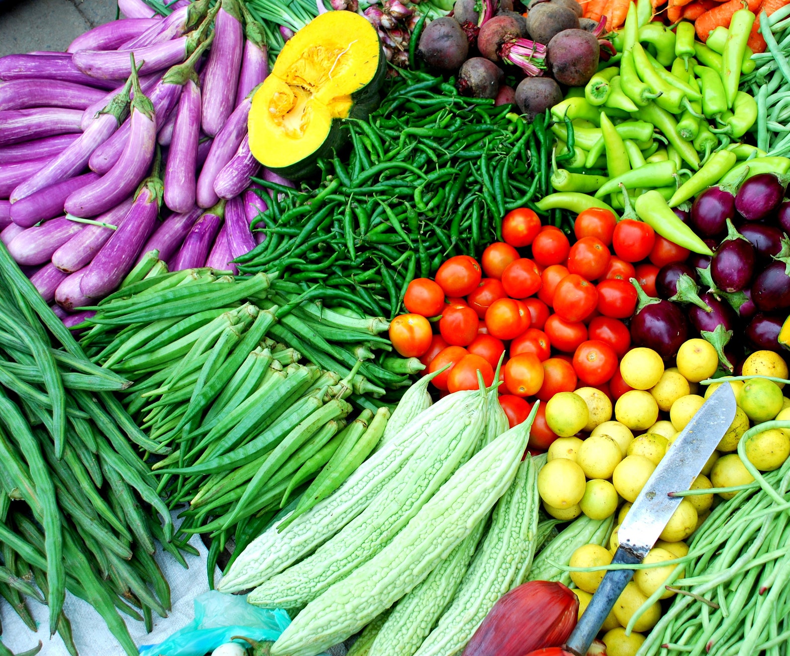 All in One Seed Assortment - Etsy