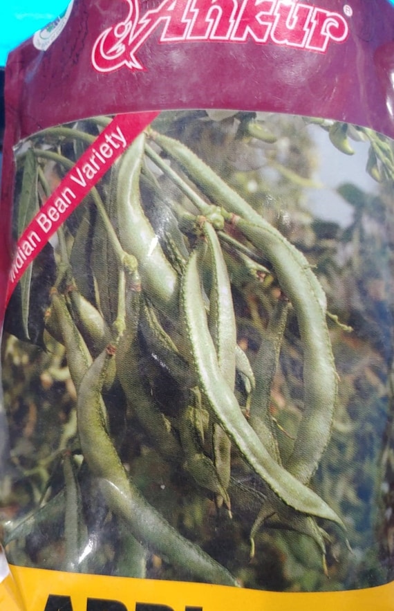 Arka Indian Bean Variety | Etsy