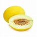Yellow Dosakaya Big Round sambhar Dosakaya - Etsy